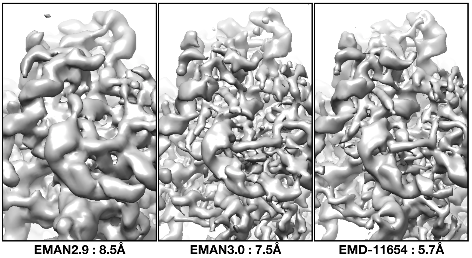 eman2:e2tomo_new [EMAN Wiki]
